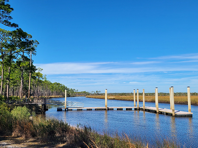Nature's playground awaits at Ochlockonee River State Park, where towering pines stand sentinel over emerald waters and adventure beckons around every bend.