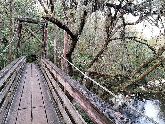 A rustic wooden bridge leads you straight into Old Florida, where the Hillsborough River winds through untouched wilderness and nature still reigns supreme.