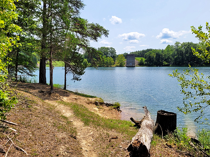 Mirror, mirror on the water – Paintsville Lake's glass-like surface perfectly doubles the surrounding Appalachian hills, creating nature's own infinity pool.