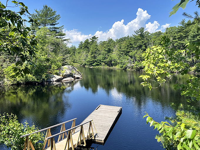 Mirror, mirror on the pond&mdash;this serene water view makes even Monday morning stress dissolve like morning mist.