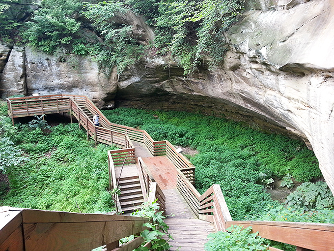 The wooden boardwalk zigzags through lush greenery to the ancient cave, like nature's version of a yellow brick road leading to geological wonders instead of wizards.