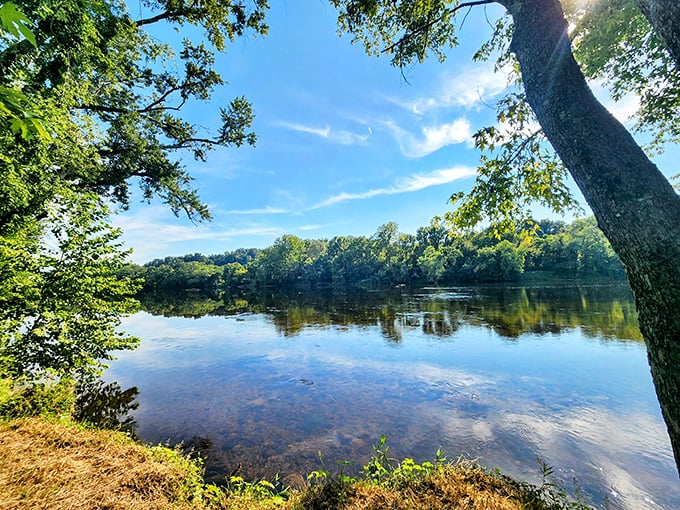 Soaking up the tranquil waters and lush green canopy along the James River for the ultimate outdoor retreat.