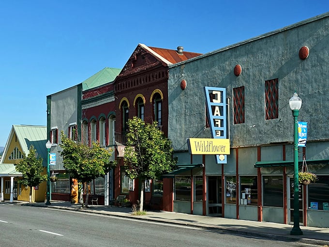 Quincy's historic Main Street looks like a movie set where the extras are actually friendly locals who remember your name after just one visit.