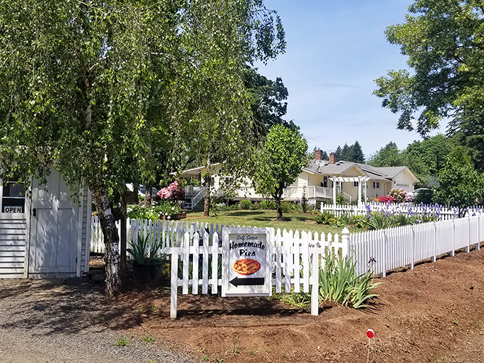 A charming white picket fence welcomes pie pilgrims on sunnier days, with a simple "Homemade Pies" sign that understates the life-changing dessert experience waiting just beyond the garden path.