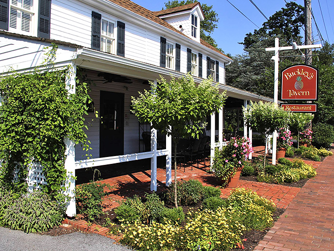 The classic white colonial exterior of Buckley's Tavern welcomes you like an old friend, complete with lush greenery and that iconic red sign promising good times ahead.