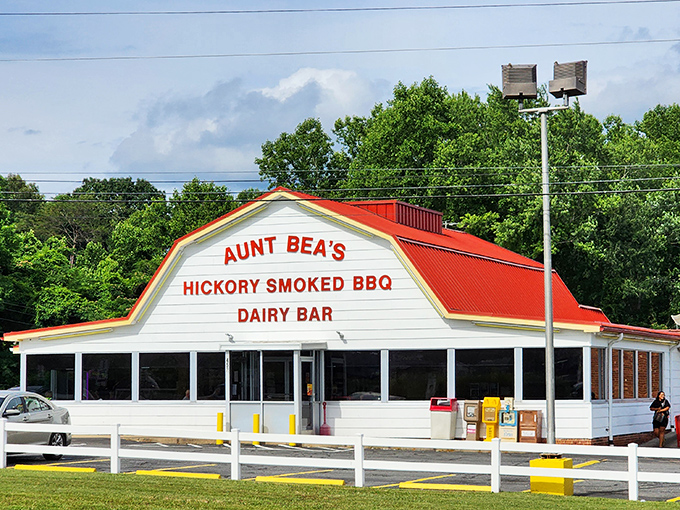 Aunt Bea's from above&mdash;where barbecue dreams and parking spaces are plentiful. The red roof beckons like a smoke signal to hungry travelers.