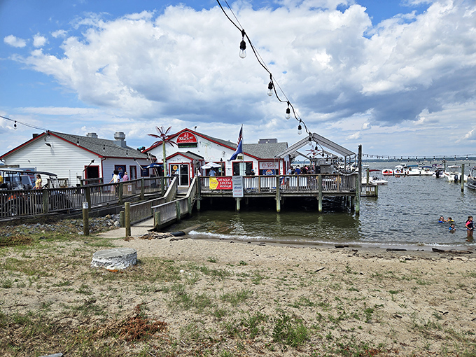 Where the Potomac meets perfection: Tim's II sits right on the water, offering string lights, stunning views, and seafood worth the pilgrimage.
