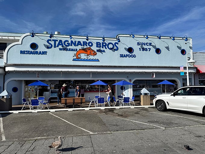 Blue umbrellas dot the outdoor seating area, where diners can feel the ocean breeze while watching seagulls plot their next french fry heist.
