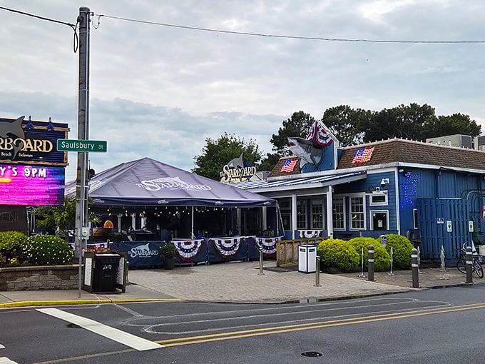 The blue-sided beacon of Dewey Beach beckons with patriotic flair and the promise of orange crushes. Where coastal memories begin and diet plans surrender.