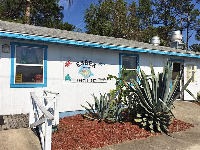 A closer look at Essex's charming fa&ccedil;ade, where desert-dwelling cacti somehow make perfect sense alongside a seafood shack in inland Florida.
