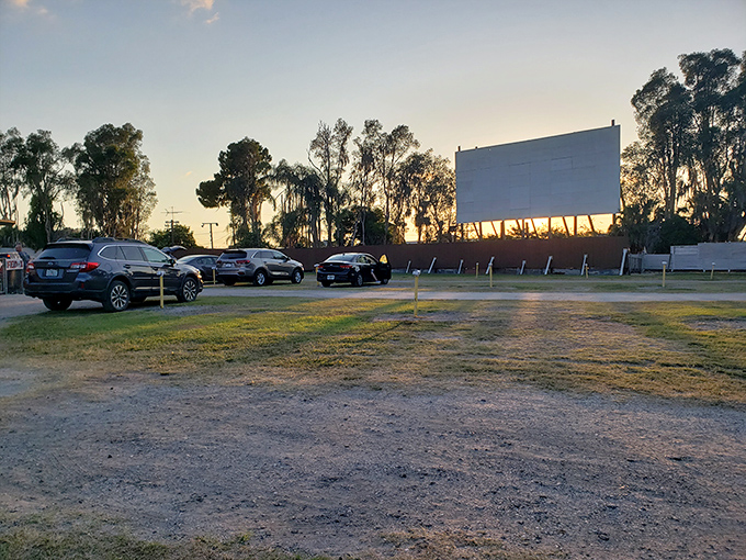Twilight magic at the Ruskin Drive-In, where cars gather like faithful pilgrims before the silver screen altar. Florida sunsets provide the perfect opening act.
