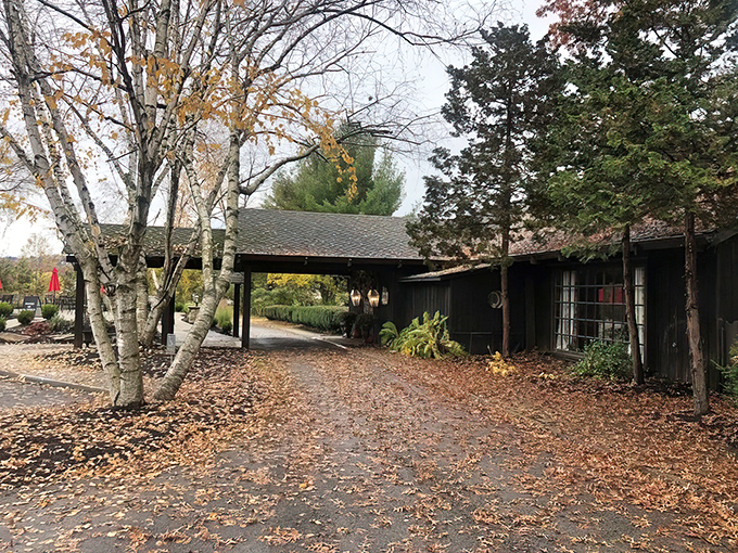 Autumn leaves carpet the path to this hidden culinary gem. The seasonal transformation outside mirrors the timeless warmth you'll find within these welcoming wooden walls.