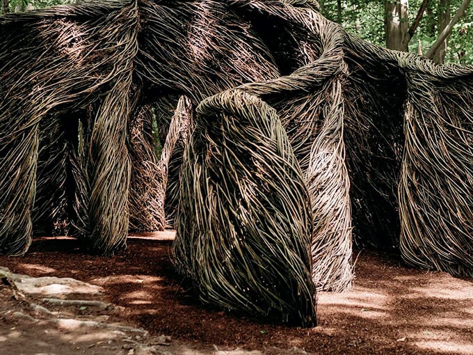 Nature's architecture at its finest! These woven willow structures create magical tunnels and chambers that feel like stepping into a fairy tale.