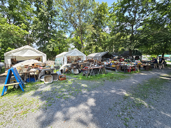 Dappled sunlight filters through the trees as vendors display their wares under white canopies, creating the magical woodland shopping experience unique to Shupps Grove.
