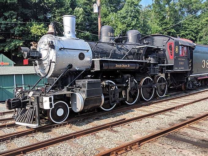 The Southern Railway locomotive #385 gleams in the sunlight, a magnificent beast of steel and steam ready to transport you back to railroading's golden age.