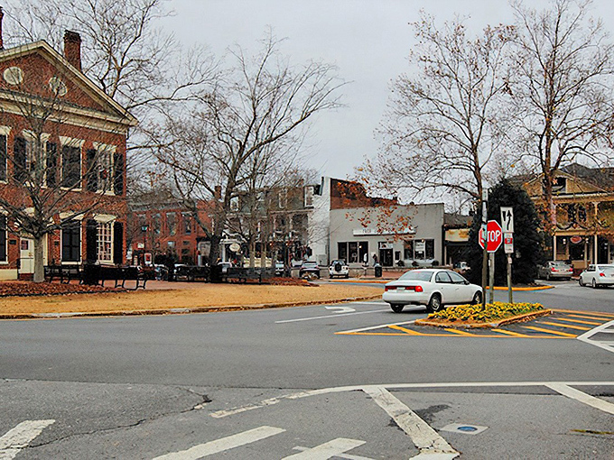 Winter reveals the bones of Dahlonega's historic square, where brick buildings and bare trees create a timeless postcard scene.