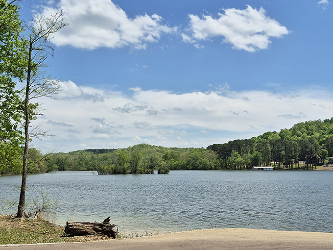 Morning light dances across the lake's surface, creating a canvas of blues that would make even Monet put down his croissant in awe.