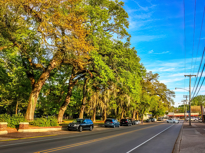 These majestic oaks don't just provide shade&mdash;they're living monuments that have witnessed centuries of Louisiana history unfold beneath their branches.