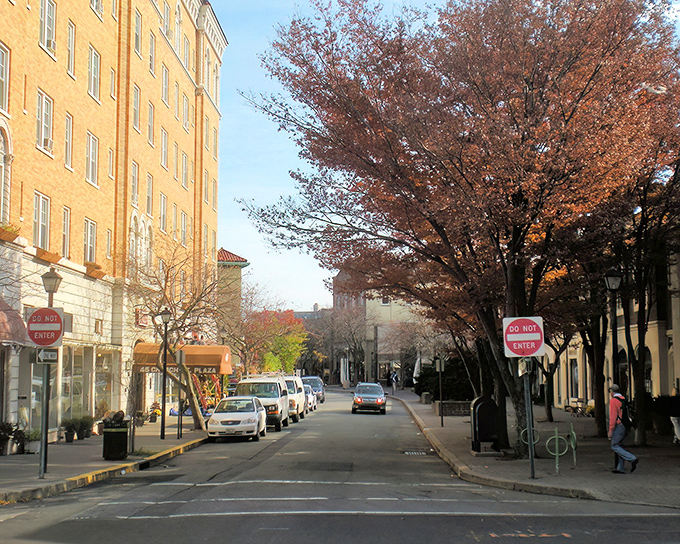 Tree-lined streets and historic architecture create Montclair's perfect blend of small-town charm with big-city sophistication. Norman Rockwell would approve.