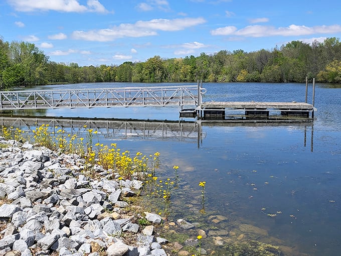 This fishing dock stretches into tranquility itself, offering anglers front-row seats to some of Illinois' most peaceful waters.