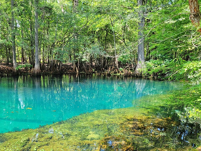Nature's swimming pool puts your neighborhood country club to shame with crystal waters that reveal every detail of the spring bottom.