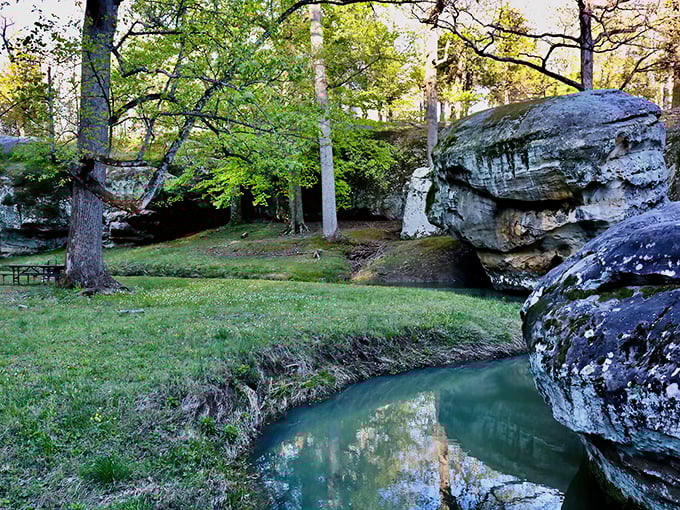 Nature&rsquo;s own infinity pool, Dixon Springs offers a peaceful retreat where the gentle sounds of flowing water create a calming escape, helping even the most stressed city dweller breathe easy.