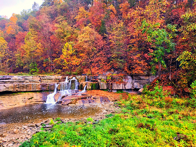 Nature's autumn masterpiece on full display. The cascading waters create a soothing soundtrack while fall foliage paints the gorge in fiery hues.