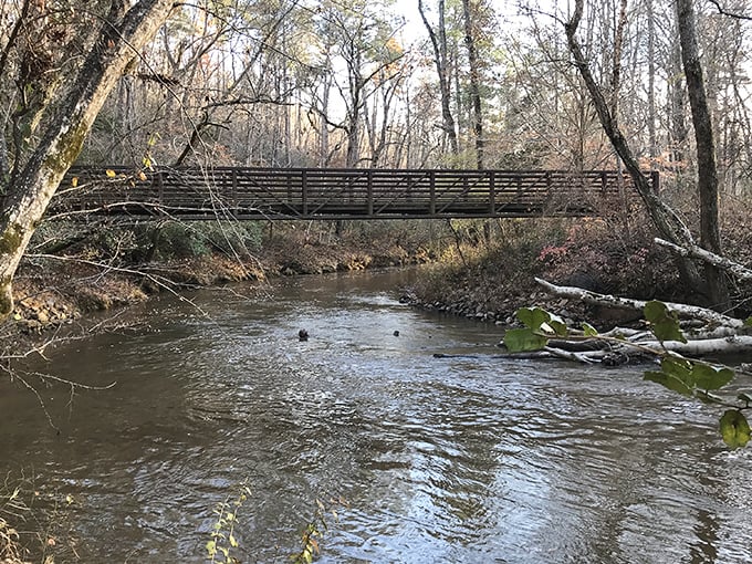 Nature's perfect postcard moment: a sturdy footbridge spans the gentle creek, inviting hikers to pause and listen to water's timeless conversation with stones below.