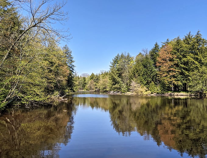 Mirror, mirror on the water &ndash; Brunet Island's perfect reflections make you wonder which view is more beautiful, the original or its twin.
