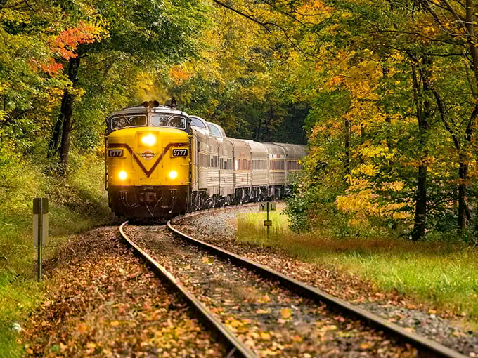 Nature's own masterpiece unfolds as the CVSR winds along the Cuyahoga River, autumn's palette creating a scene worthy of a calendar cover.