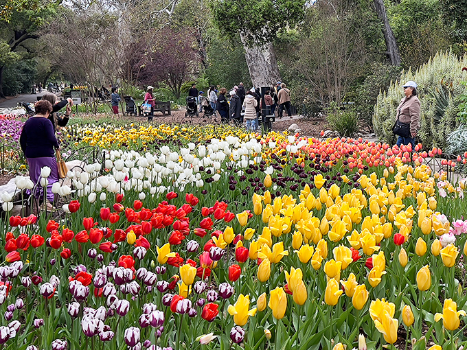 Spring at Descanso Gardens looks like someone asked a rainbow to explode in the most delightful way possible.