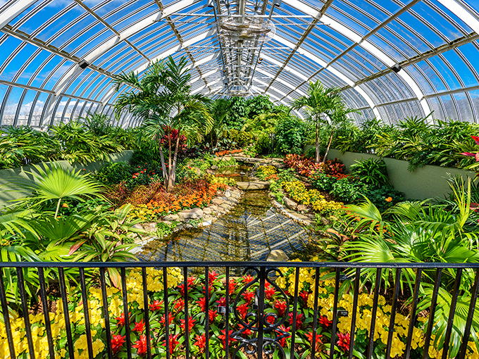 Sunlight streams through the glass ceiling, creating nature's own spotlight on this tropical paradise. Like stepping into a rainforest without needing to pack bug spray or explain suspicious customs items.