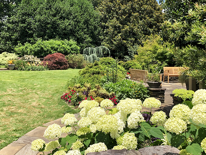 Nature's color palette on full display&mdash;hydrangeas, Japanese maples, and carefully curated perennials create garden rooms that invite lingering exploration.
