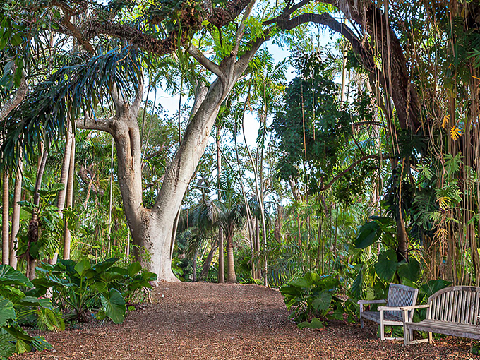 Tranquility has an address, and it's right here on this shaded path where ancient trees stand like wise elders offering respite from Miami's relentless sunshine.