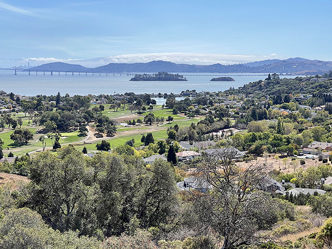 Panoramic views that make even smartphone photos look professional &ndash; San Rafael's hidden coastal gem spreads out before you like nature's IMAX screen.