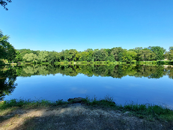 The serene pond at Bellevue creates perfect mirror reflections, inviting photographers and offering peaceful spots for fishing or contemplation.