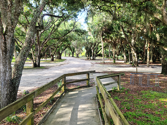 A wooden boardwalk beckons through a cathedral of oak trees, nature's version of the yellow brick road to wilderness adventure.