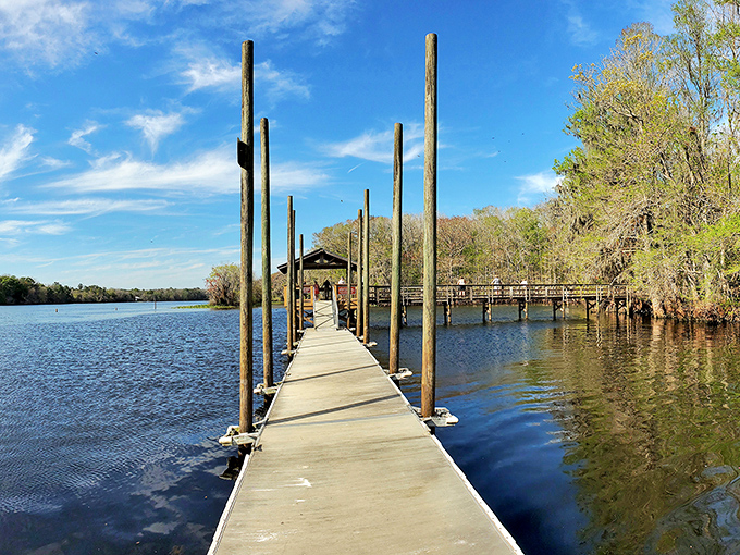 A wooden dock stretches toward adventure, inviting you to leave the ordinary behind and step into Florida's liquid paradise.