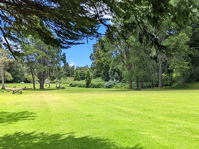Nature's perfect picnic spot awaits at Kokeʻe, where emerald meadows invite you to sprawl out with a sandwich and soak in that impossibly clean mountain air.
