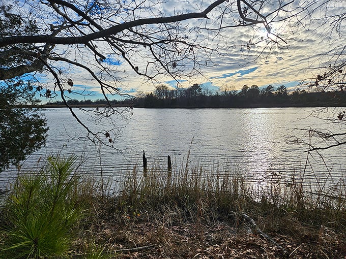 Nature's gentle touch at Franklin Point, where the Chesapeake's waters mirror the sky's moody palette&mdash;nature's own meditation space.
