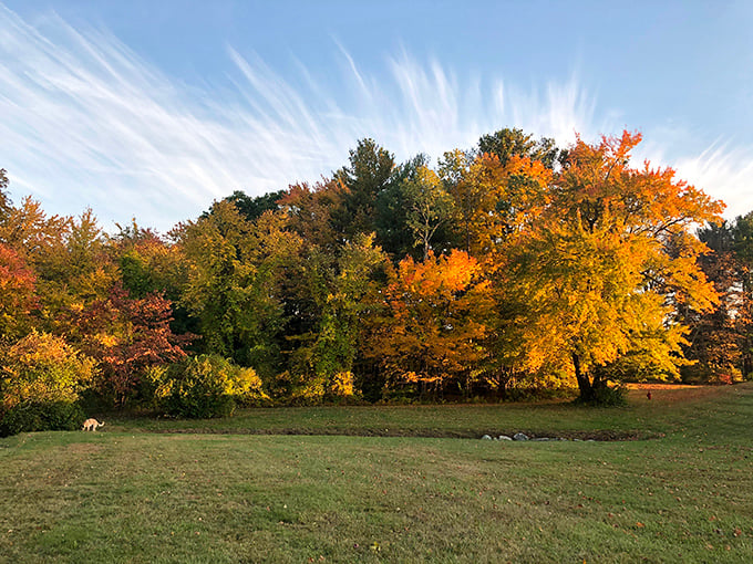 Fall's artistic palette transforms Hopkinton's treeline into a masterpiece worthy of a New England calendar cover &ndash; Mother Nature showing off again.