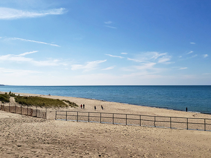 Blue water and sunny skies! Enjoy a friendly, relaxing day at the beautiful Warren Dunes State Park in Michigan.