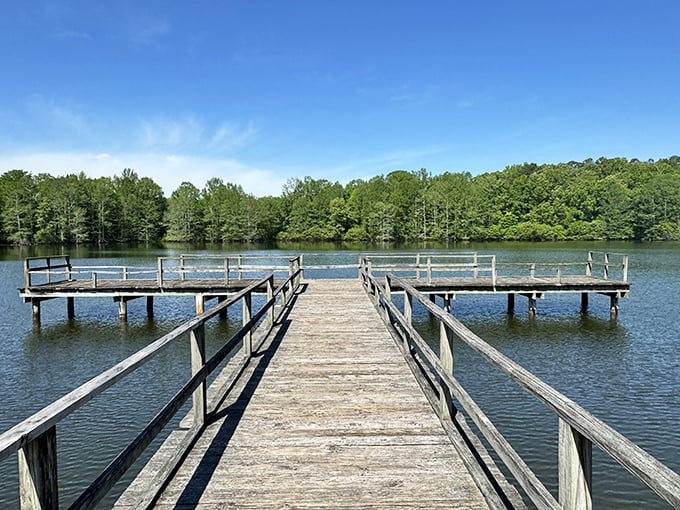 That wooden pier stretching into Spring Lake isn't just Instagram bait&mdash;it's nature's invitation to slow down and breathe deeply. Mississippi serenity at its finest.