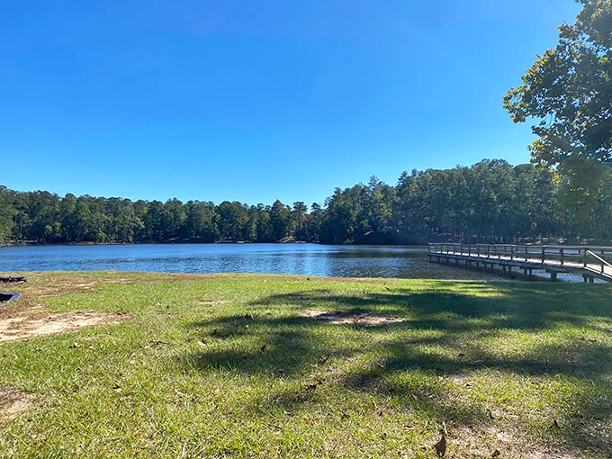 Morning at Clarkco Lake looks like Mother Nature's version of a spa day—pristine waters, towering pines, and not a single email notification in sight.