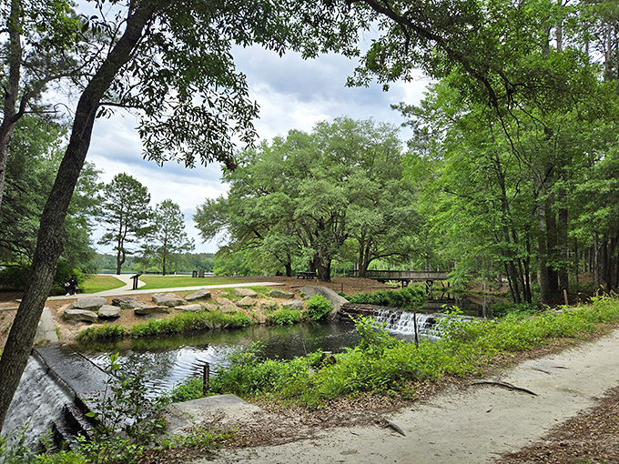 Nature's perfect balance of water and woodland at Sesquicentennial State Park, where even the smallest stream feels like it's putting on a show just for you.