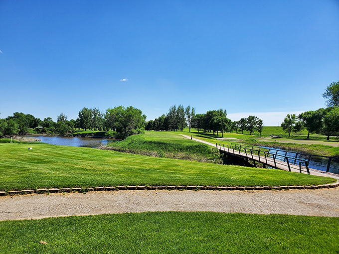Nature's perfect postcard moment: Fisher Grove's immaculate greens and tranquil waters create a scene so peaceful you'll forget to check your phone notifications.