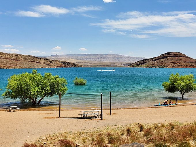 Mother Nature's color palette went wild at Quail Creek, where turquoise waters meet rust-red cliffs under that impossibly blue Utah sky.