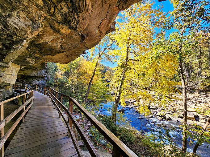 Mirror, mirror on the water &ndash; the Middle Fork River creates nature's perfect reflection pool. Somewhere, a landscape painter is weeping with joy.