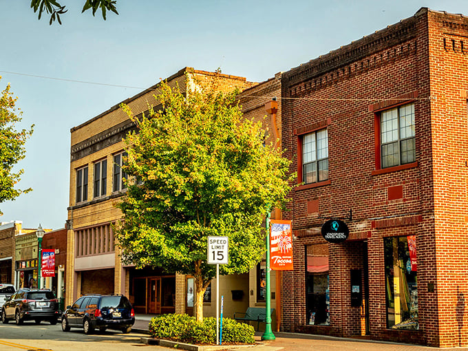 Downtown Toccoa's historic brick buildings stand like sentinels of small-town charm, where every storefront tells a story worth hearing.