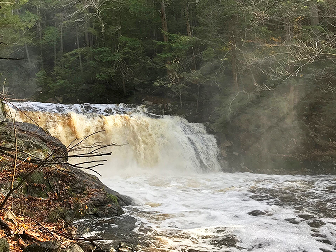 Nature's perfect watercolor – Doane's Falls cascades over ancient stone, creating a symphony of sound and light that mesmerizes every visitor.
